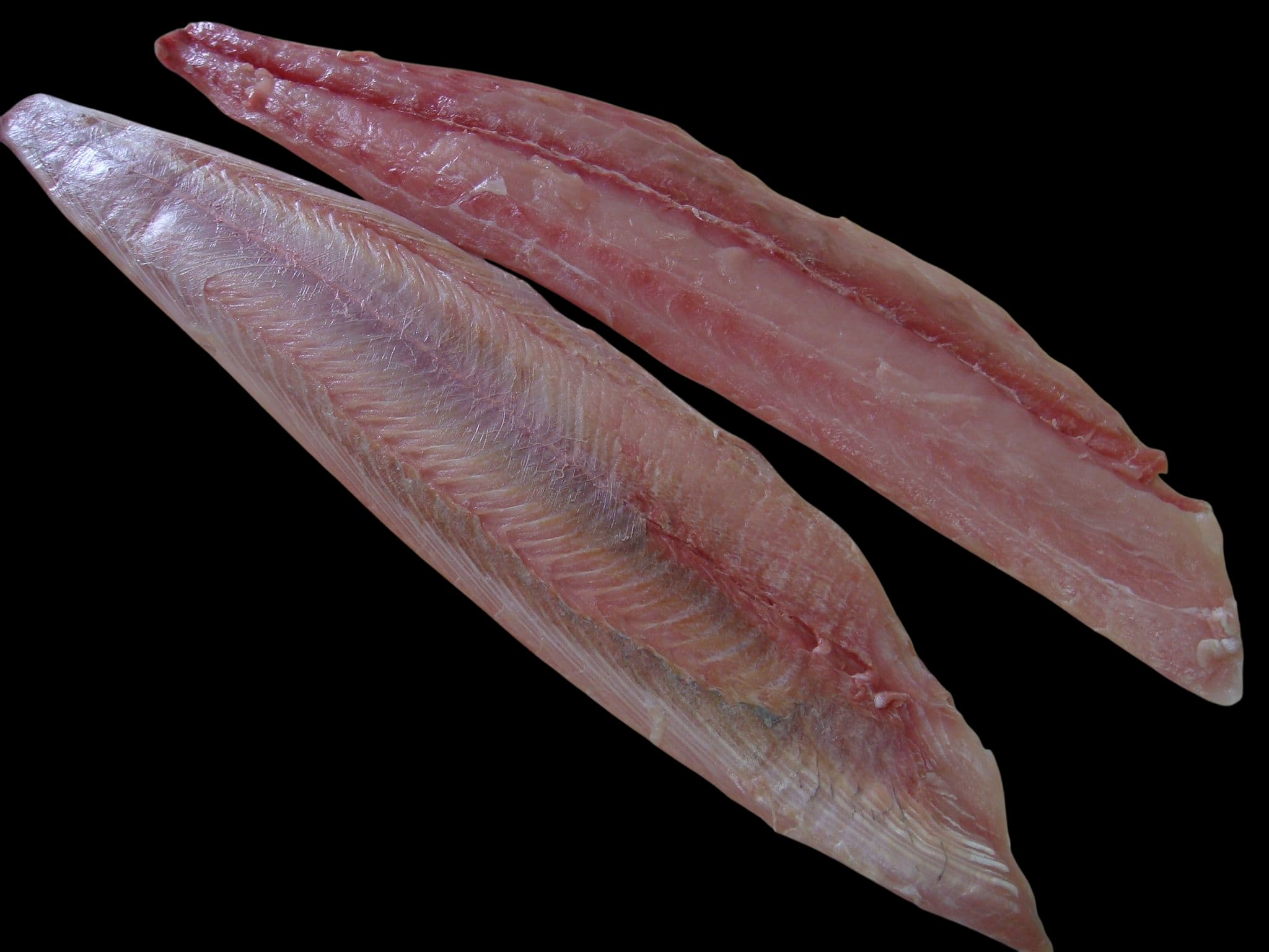 Thai Ocean Venture Co., Ltd. | Premium Tuna & Seafood Supplier